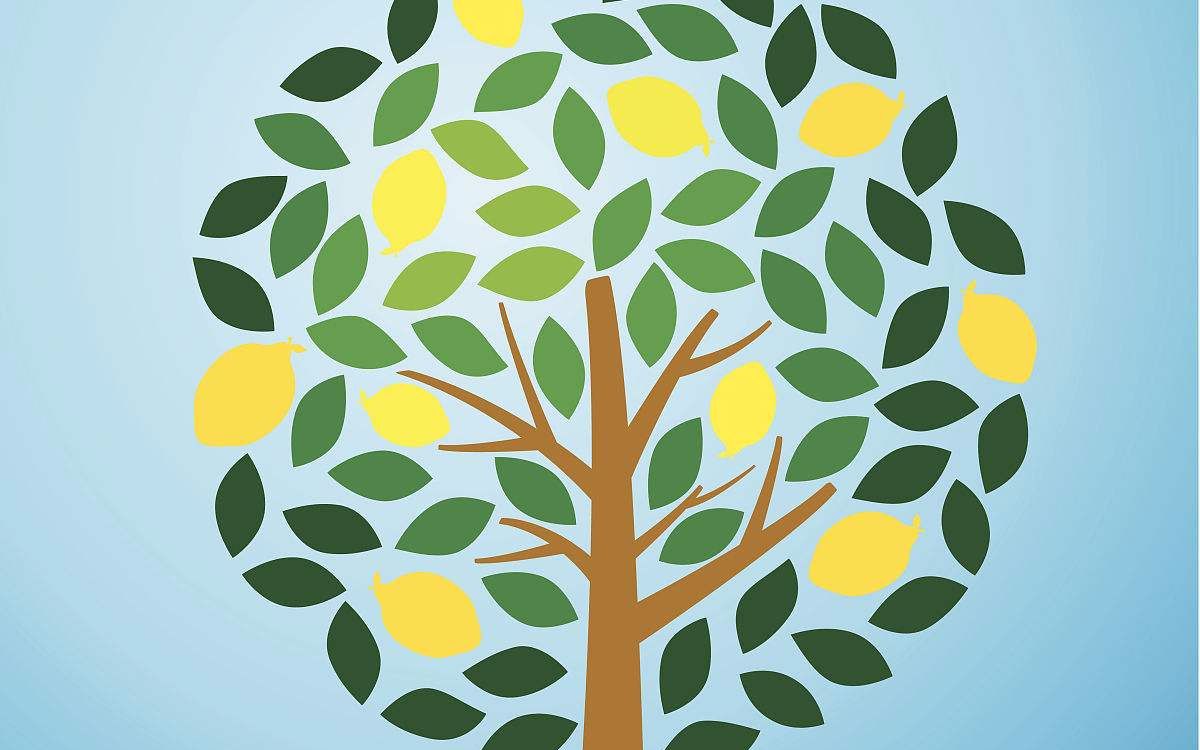 lemon tree( 中文版）_哔哩哔哩_bilibili