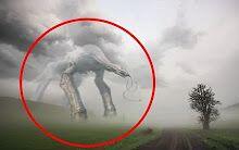 Real Unknown Creatures