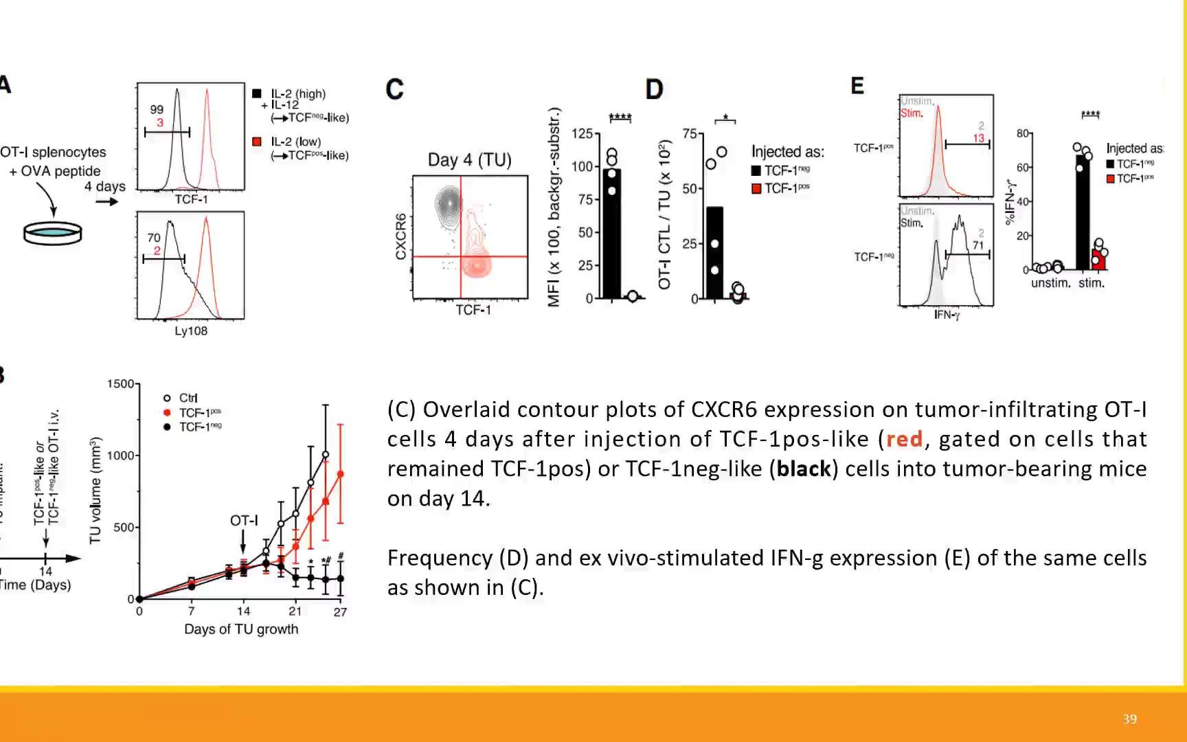 文献分享：03.CXCR6是CTL抗肿瘤免疫的必须分子_哔哩哔哩_bilibili