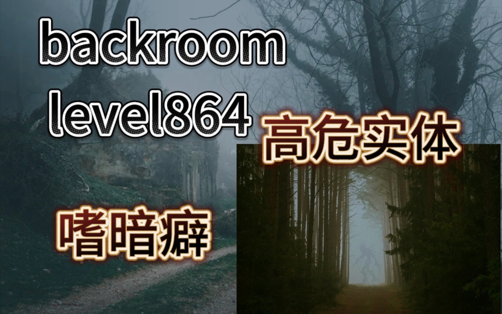 【backroom】level864-“嗜暗癖”。黑暗给予他们安全感，包括你 - 视频下载 Video Downloader