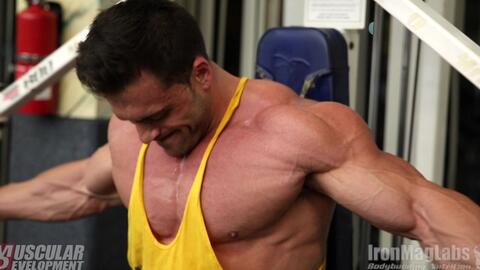 Josh Halladay Bodybuilder