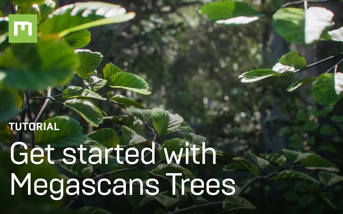 Megascans Trees 扫描树之初体验_哔哩哔哩_bilibili