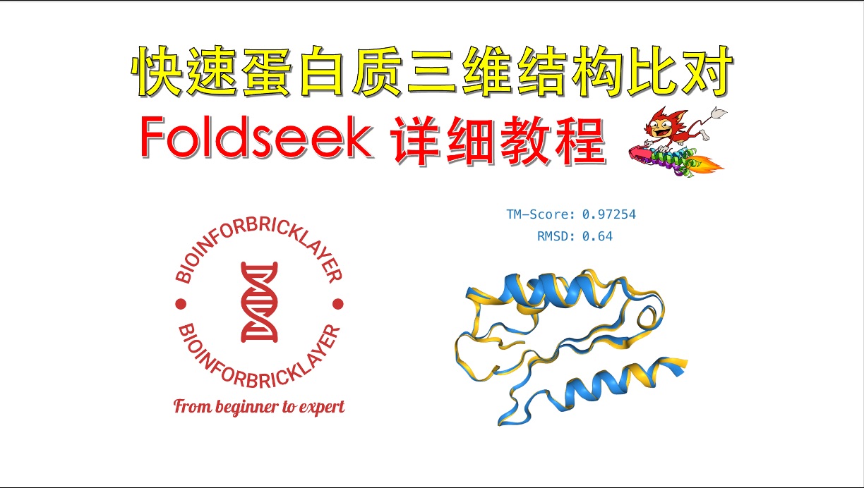 【生信进阶之路｜技能篇12】Foldseek快速蛋白质结构比对-在学了在学了_yyy-生物信息-哔哩哔哩视频