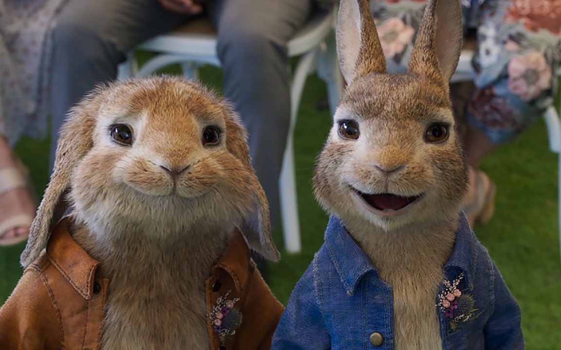 兔兔来啦！《彼得兔2：逃跑计划》先导预告@柚子木字幕组_哔哩哔哩_bilibili