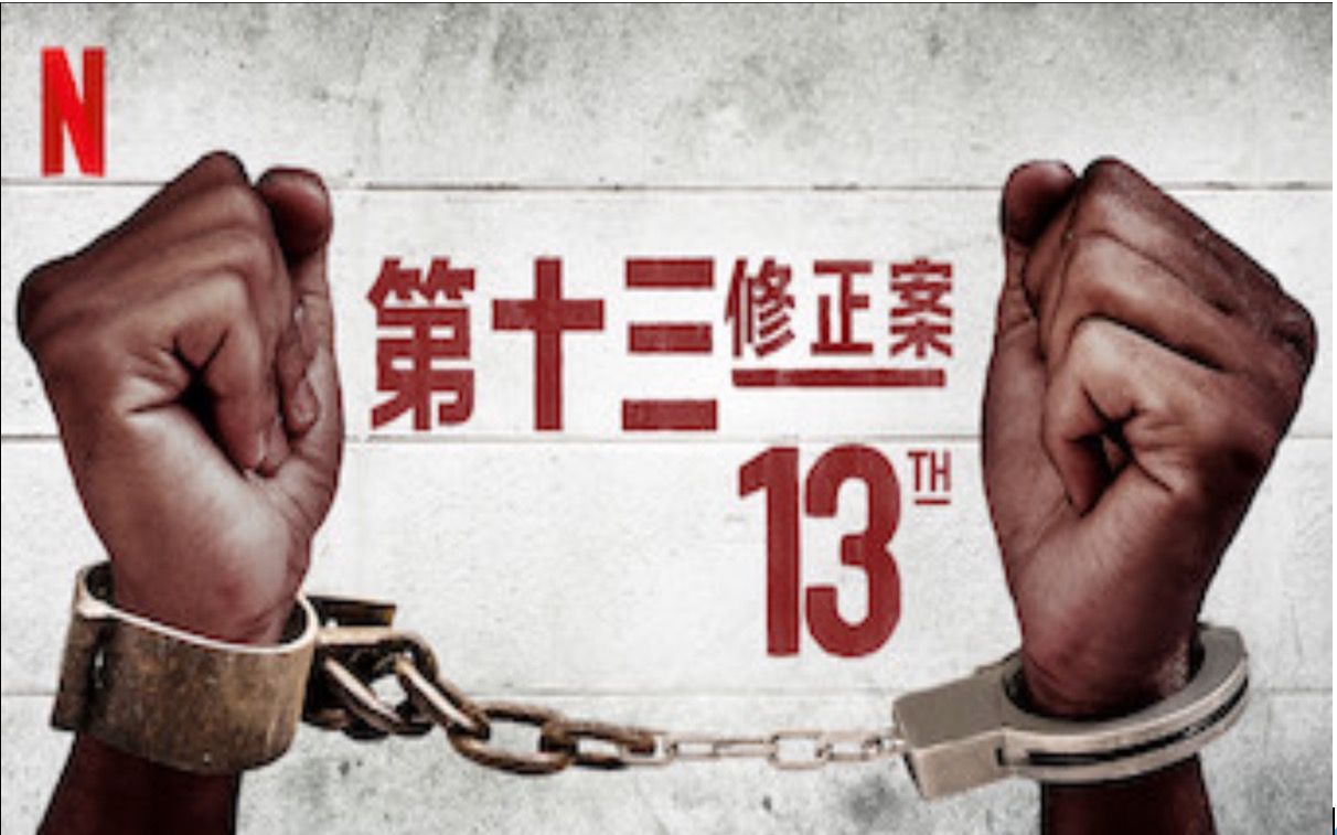 【Netflix】第十三修正案 1080P中英文双语字幕 13th (2016)-Liliana来了-影片-哔哩哔哩视频