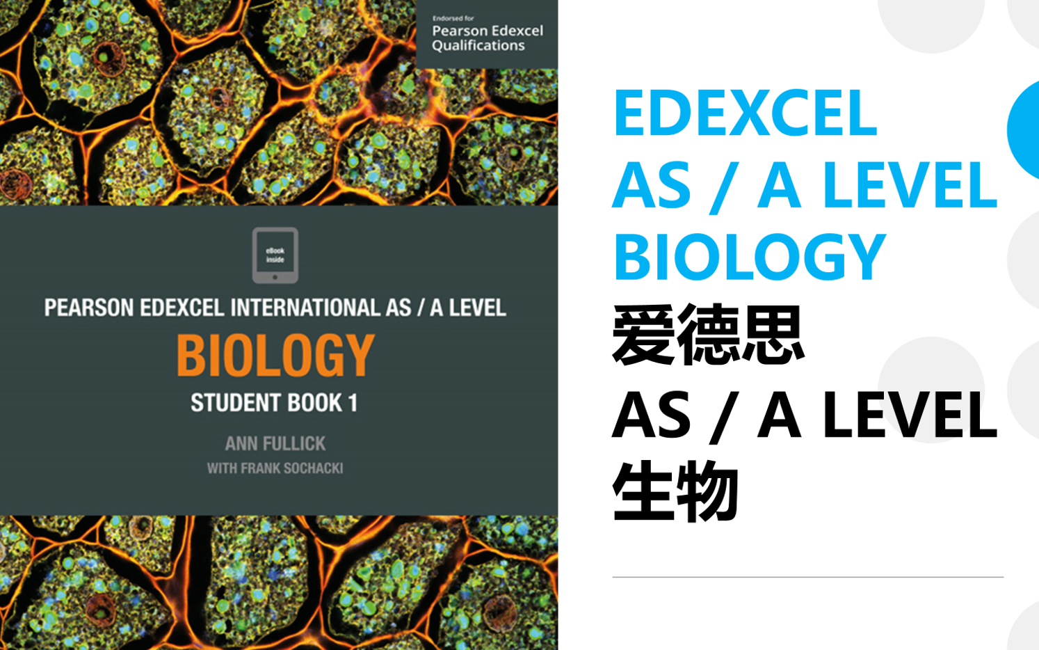 【爱德思 AS/A Level 生物课程】Edexcel AS/A Level Biology-汇学启航-汇学启航-哔哩哔哩视频
