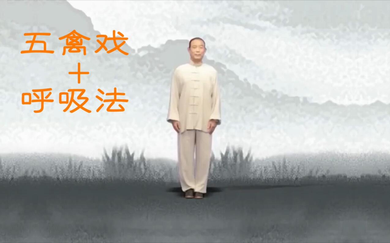 健身气功五禽戏完整版 带呼吸法口令版 哔哩哔哩