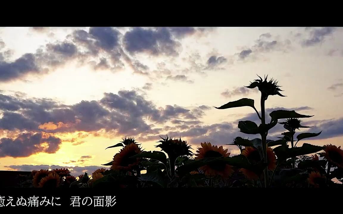 稲葉曇『余裕欲』Vo. nagiβ & カゼヒキβ / 稻叶昙 - 从容欲-鸭鸭快乐人-music-哔哩哔哩视频