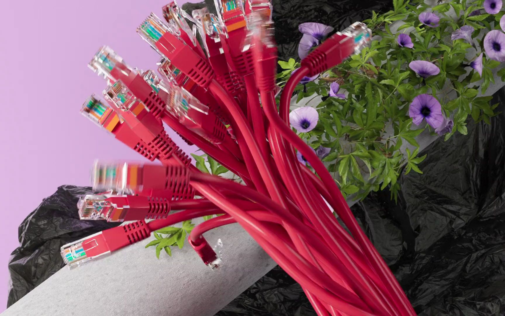 【动态设计】The Shrewd Awakening-KKK_E-KKK_E-哔哩哔哩视频