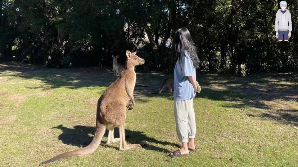 NCE2-61_哔哩哔哩_bilibili