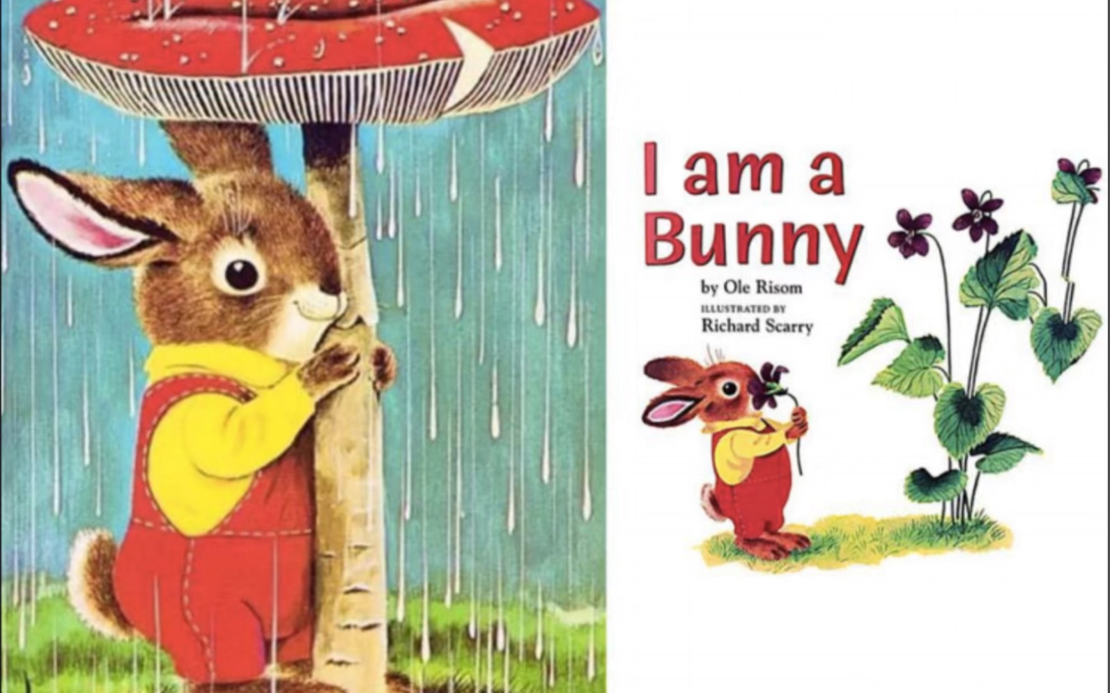 英文绘本I am a Bunny_哔哩哔哩_bilibili