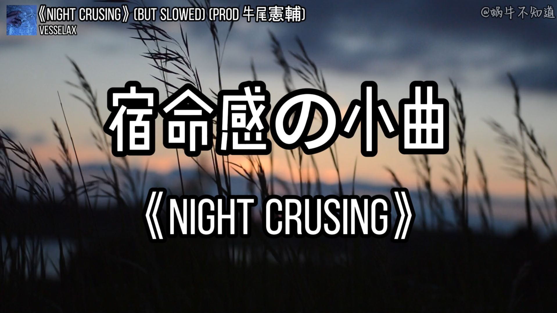 【循环歌曲】《Night Crusing》（But Slowed）“宿命感の小曲”（无损音质）-蜗牛不知道--蜗牛不知道--哔哩哔哩视频