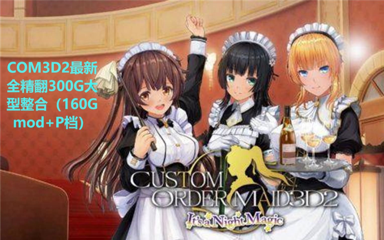 【分享】3D定制女仆2/com3d2整合哒 - 视频下载 Video Downloader