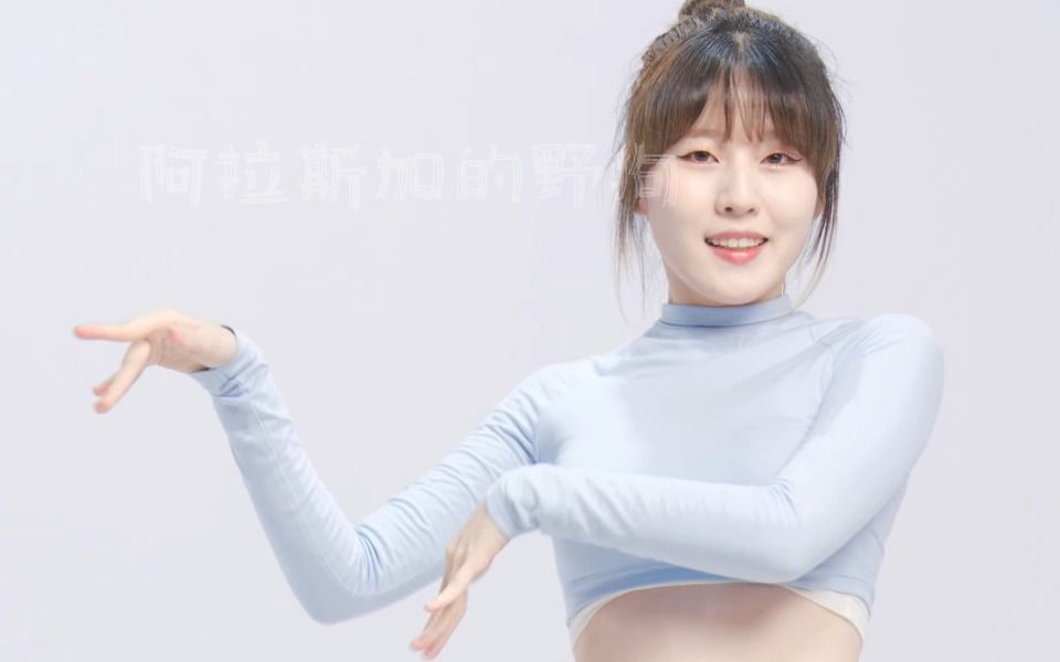 Dolphin 智恩 淡蓝色-阿拉斯加的野狗-阿拉斯加的野狗-哔哩哔哩视频