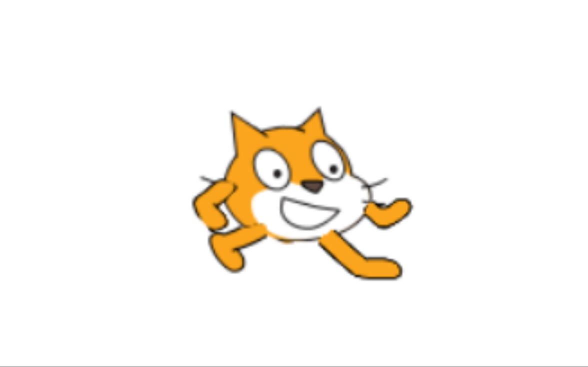 The scratch cat_哔哩哔哩_bilibili