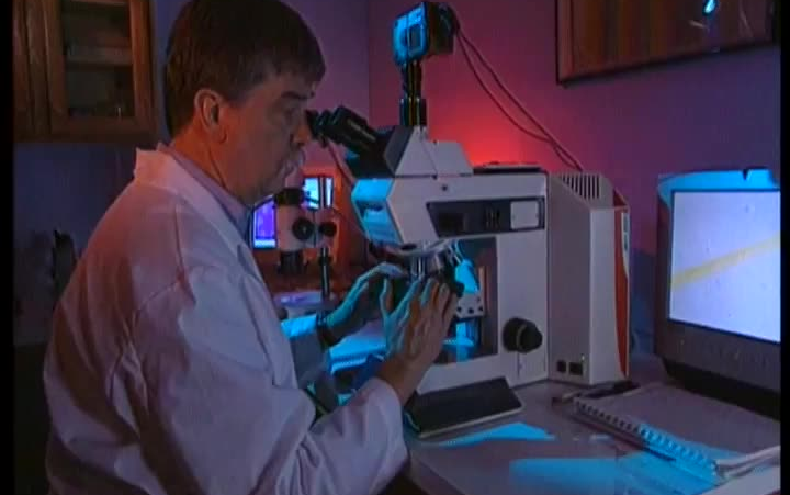 美国法医档案（医学神探）Forensic Files(Medical Detectives)_哔哩哔哩_bilibili