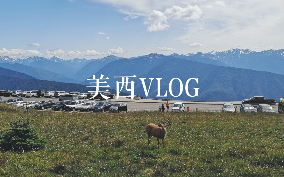 【美西VLOG】纯风景 圣莫妮卡海滩/格里菲斯公园/圣地亚哥湾/拉斯维加斯/科罗拉多大峡谷/羚羊峡谷/鲍威尔湖/日出航班/奥林匹克国家森林公园 ...
