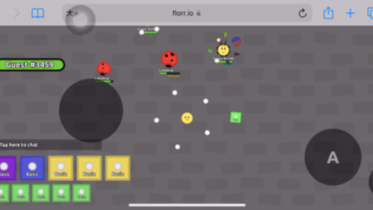 【florr.io】再见，florr（2） - 视频下载 Video Downloader