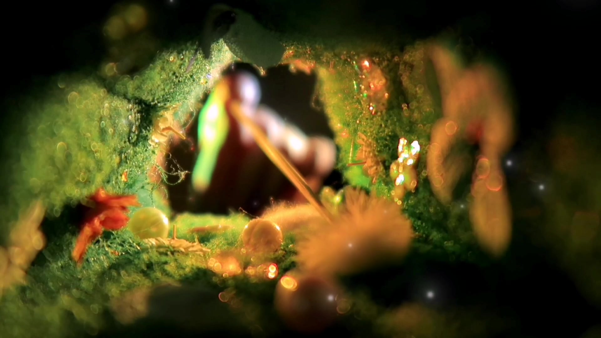 鼠鼠的VIP长视频2 剧情模拟声效配音_哔哩哔哩_bilibili