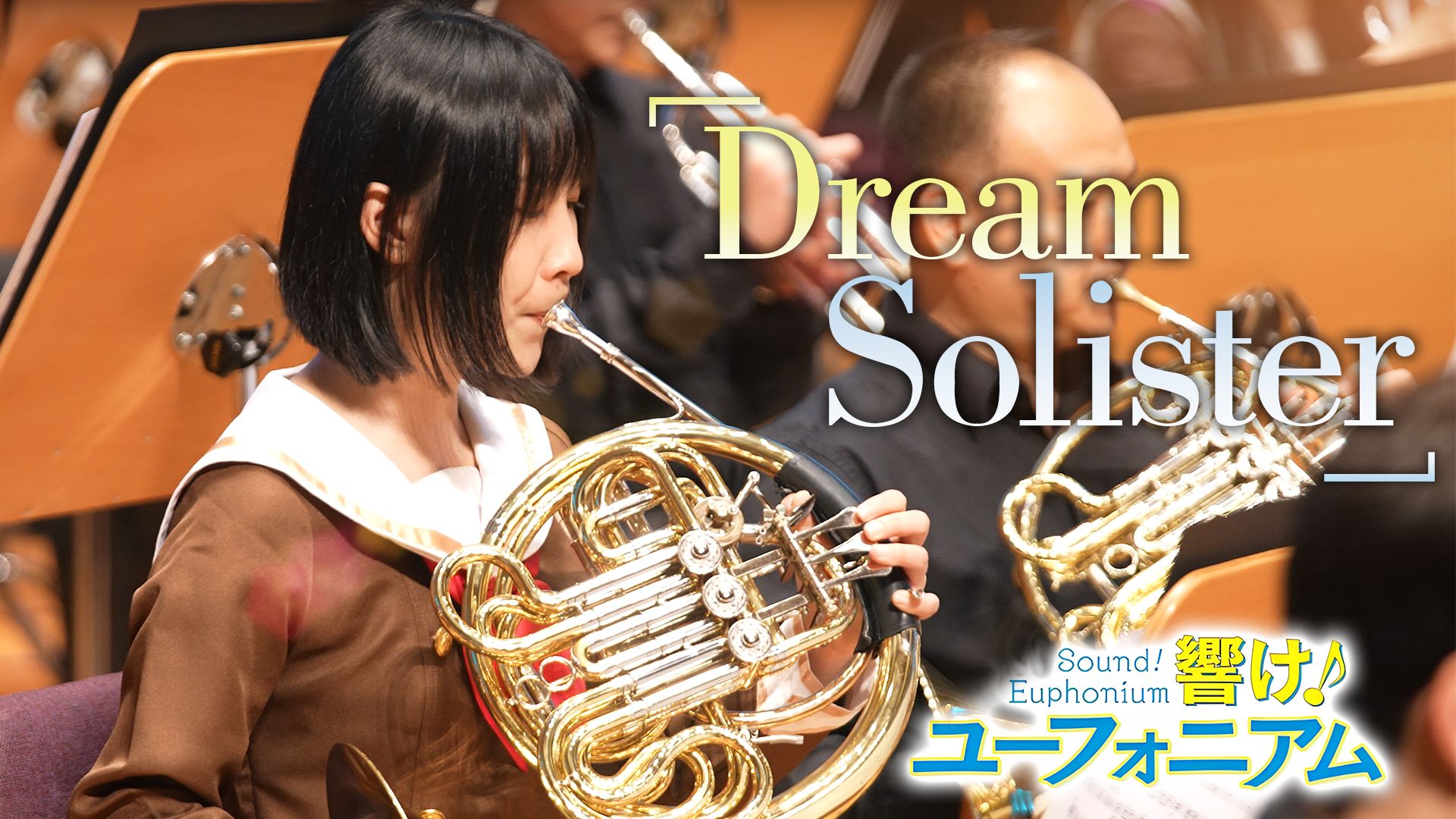 《DREAM SOLISTER》但是京吹音监亲自指挥！【8.17大和田×和音社交响乐团】-和音社交响乐团-和音社交响乐团-哔哩哔哩视频