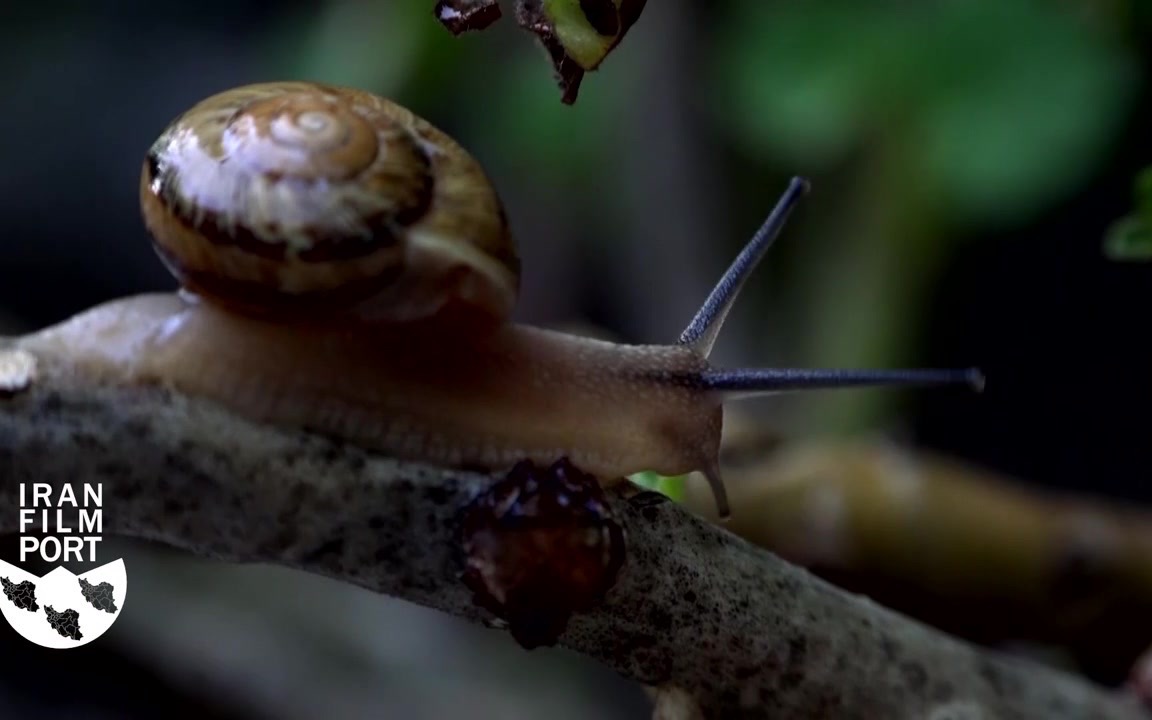 SLOW AND SLUGGISH_哔哩哔哩_bilibili