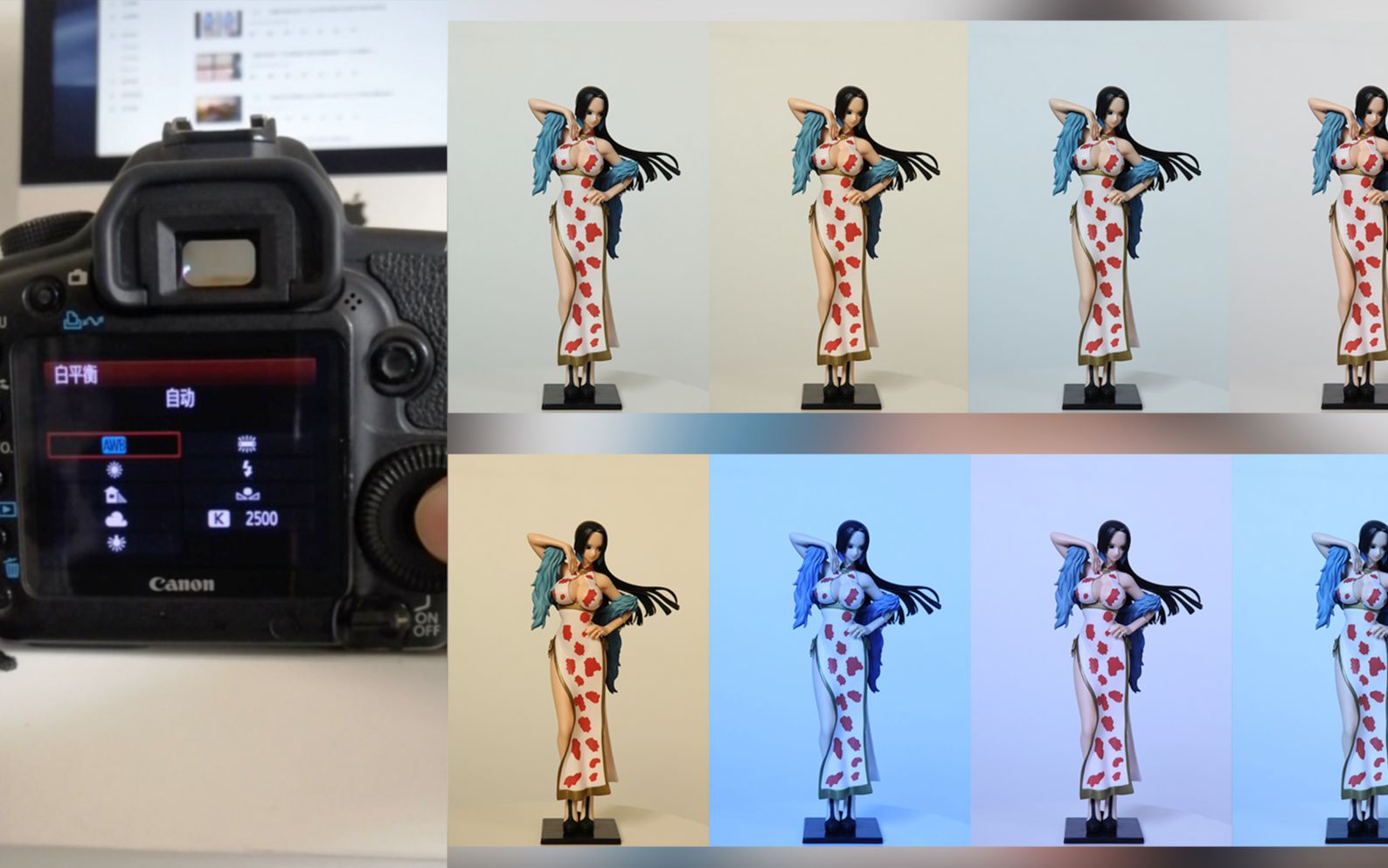 【摄影入门】相机白平衡拍摄效果和作用简单介绍_哔哩哔哩_bilibili