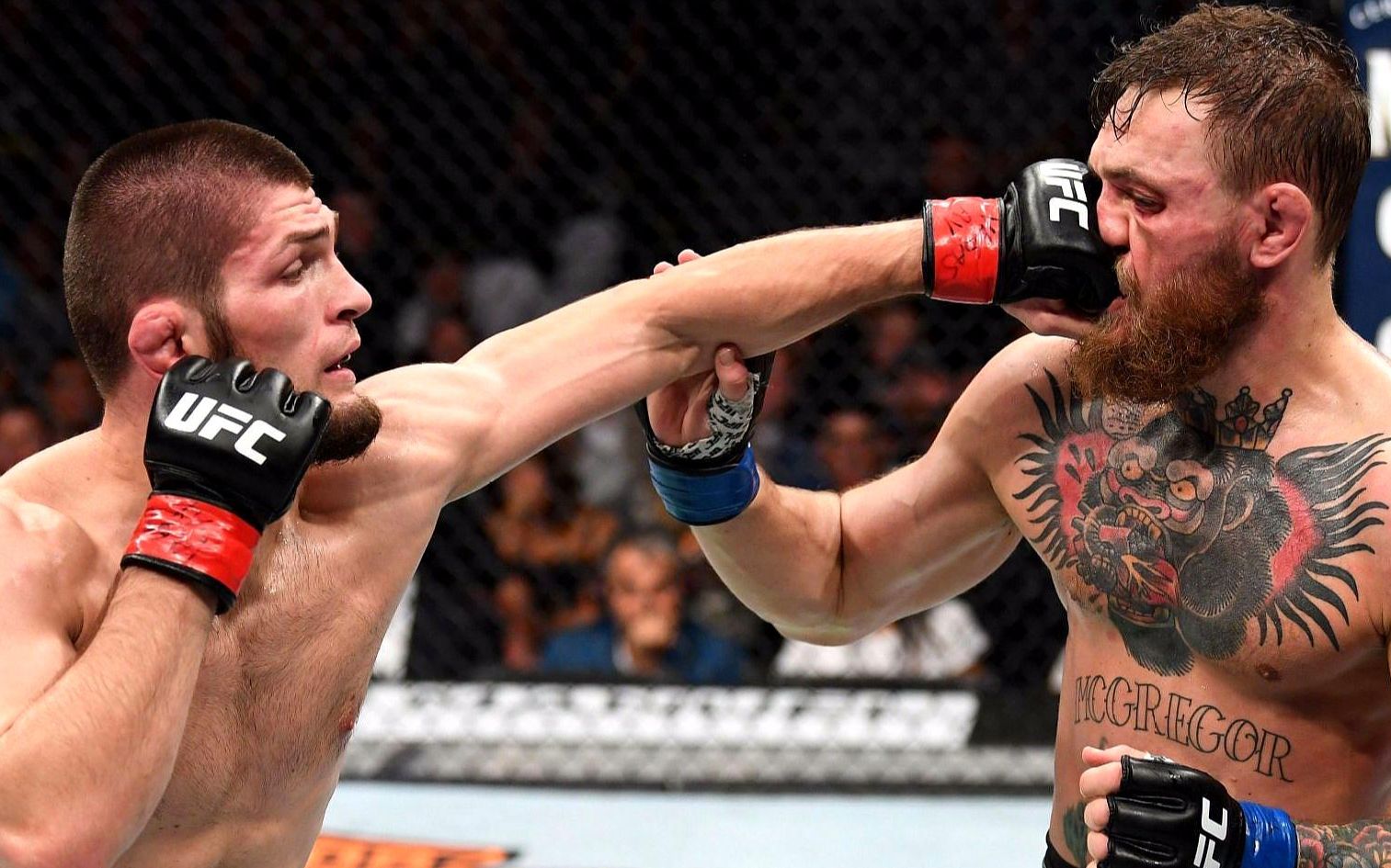 UFC-哔哩哔哩频道