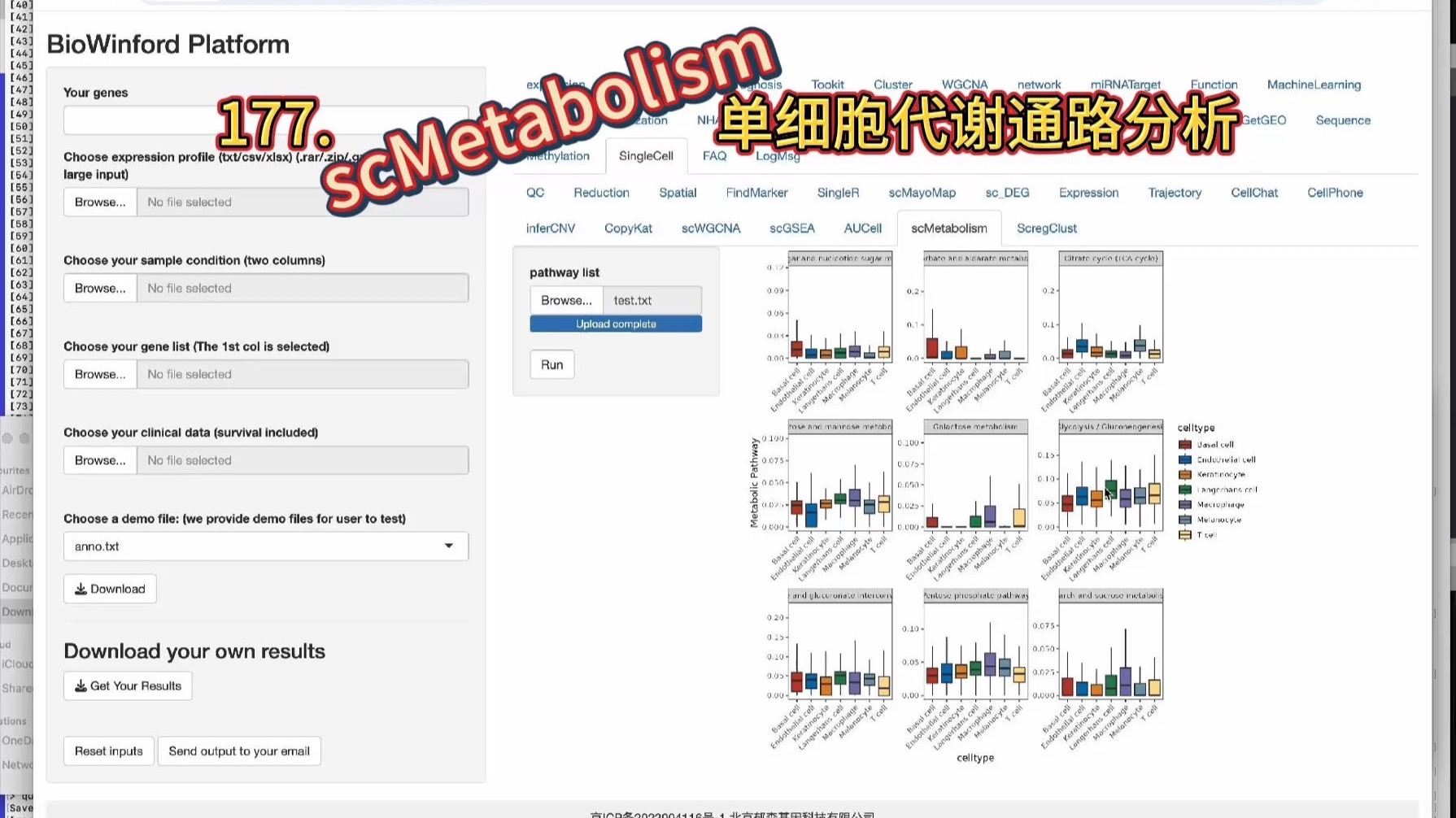 177. scMetabolism 单细胞代谢通路分析-学术渣在欧洲-学术渣在欧洲-哔哩哔哩视频