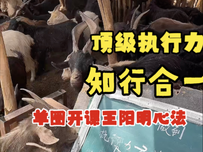 【轮轨音助眠】硬卧25T客车（YW25T）Z334次旅客列车夜间达速运行车内原声 普速硬卧 绿皮火车沉浸式氛围-良辰枣阳-运动-哔哩哔哩视频