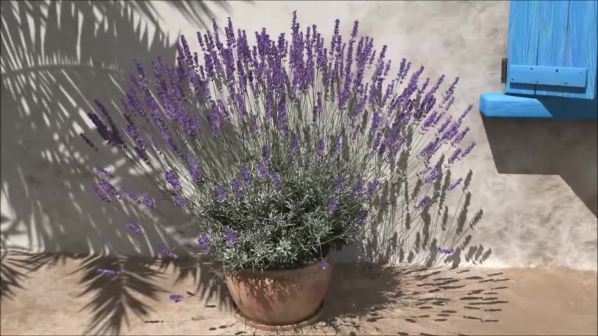 Plant Factory软件官方教程（英文无字幕）_哔哩哔哩_bilibili