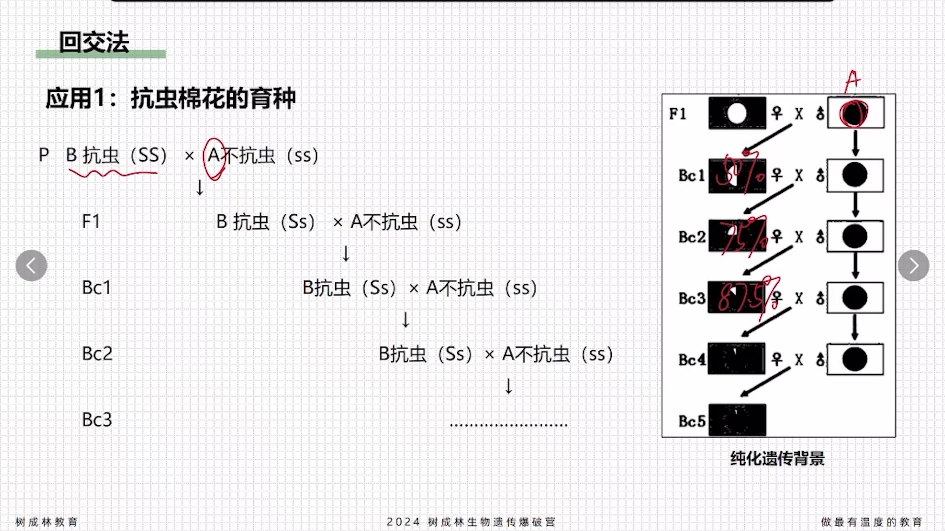 学完Raynee的遗传课，让江湖不再有难做的题_哔哩哔哩_bilibili
