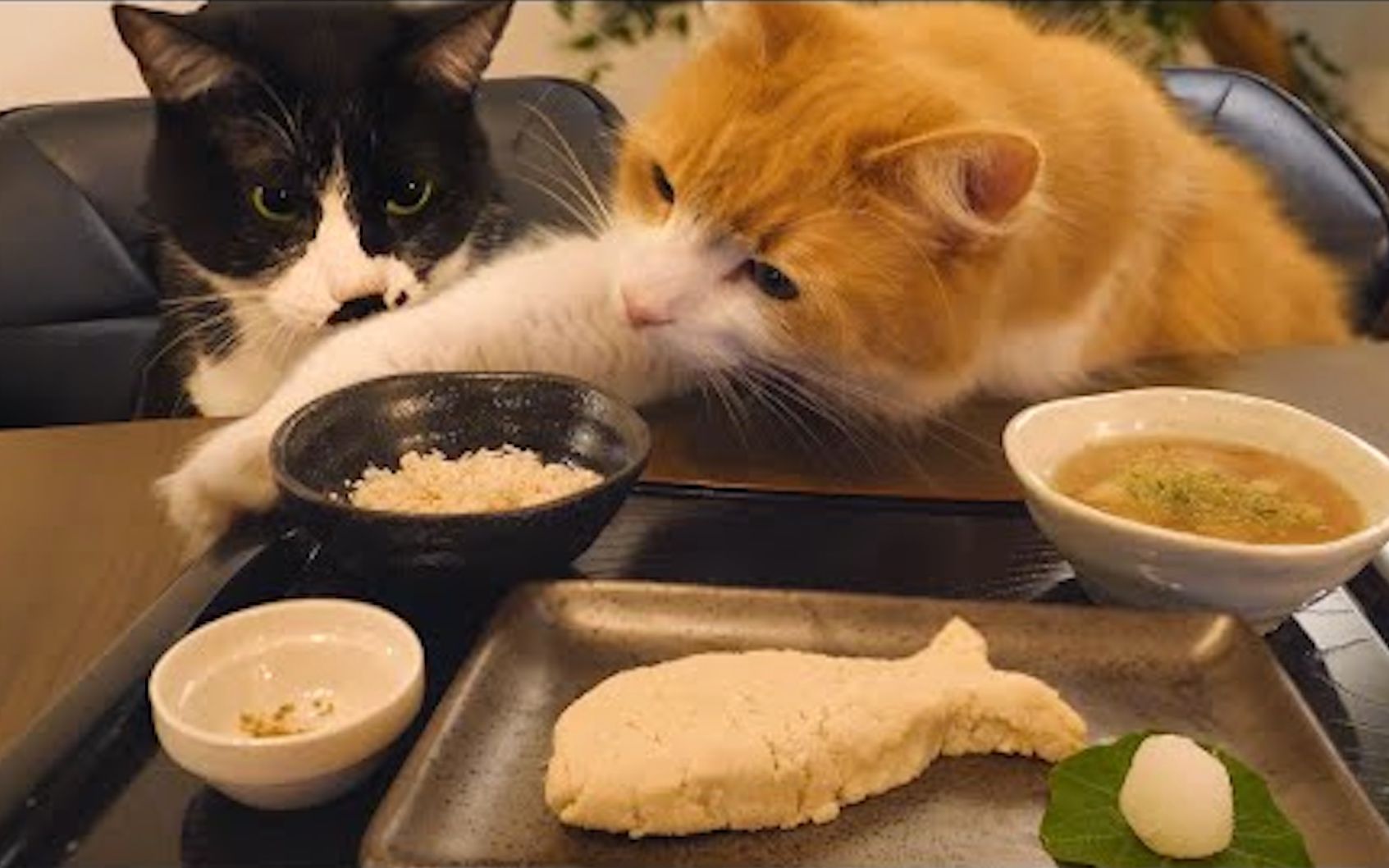 【JunsKitchen】豪华日式定食，隔壁小猫咪都馋哭了-JunsKitchen-JunsKitchen-哔哩哔哩视频