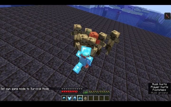 MC-BUG 15_哔哩哔哩bilibili_我的世界