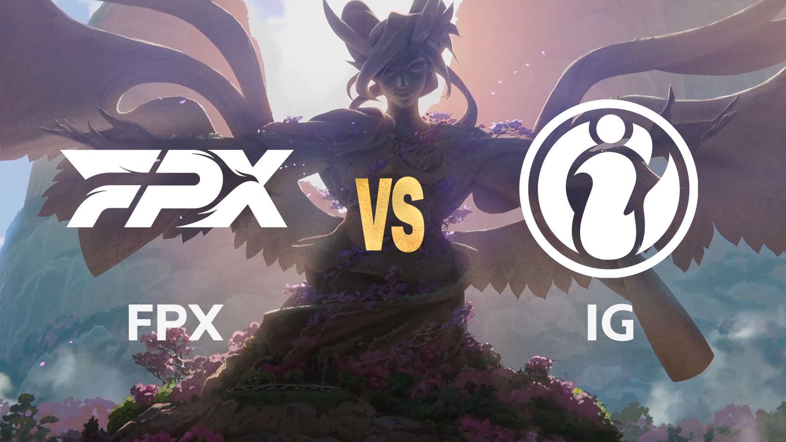 视频去哪了呢？_哔哩哔哩_bilibili