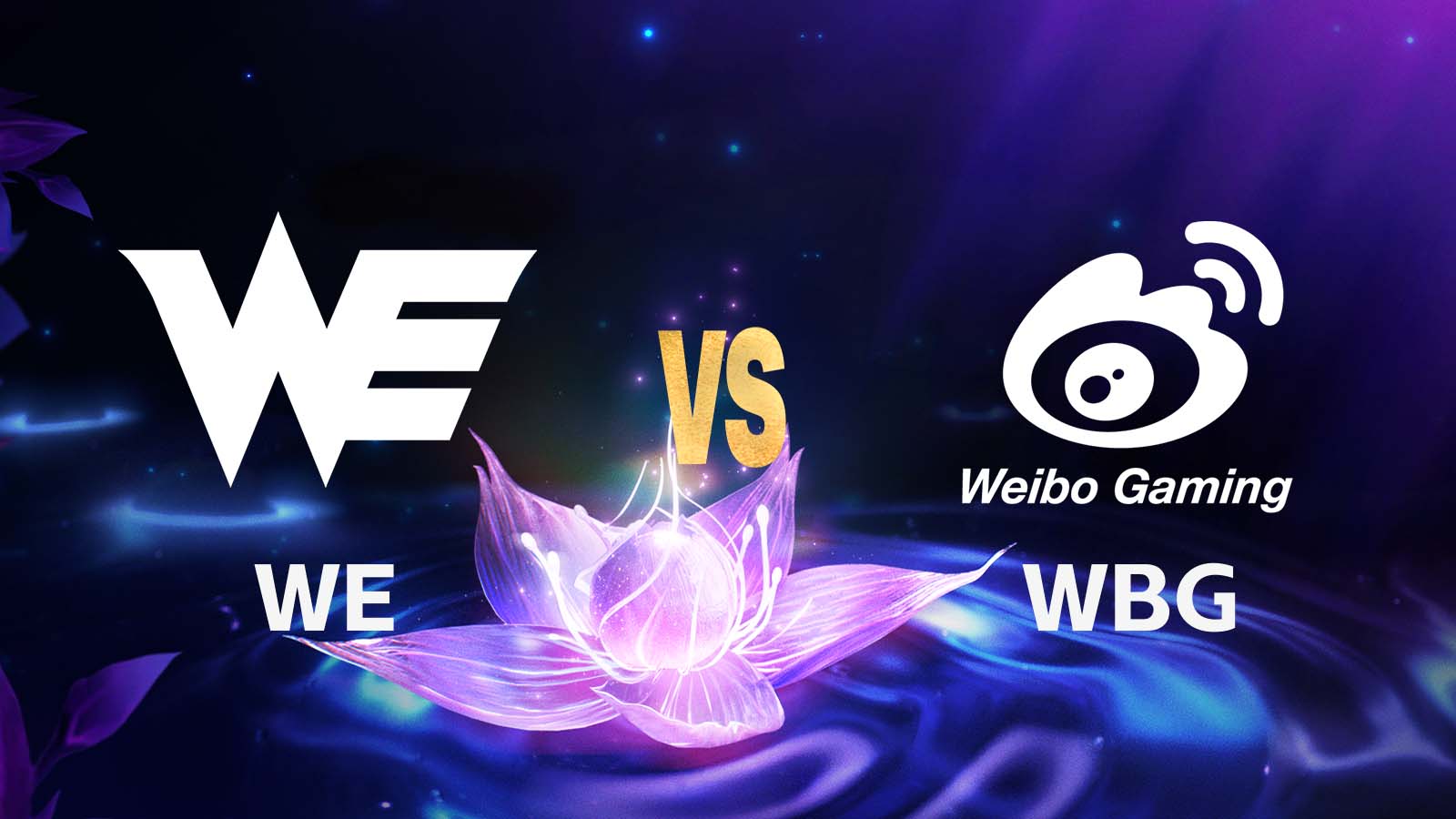 视频去哪了呢？_哔哩哔哩_bilibili