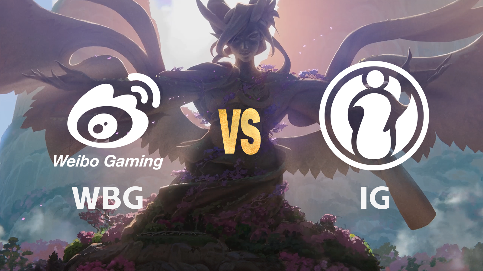 视频去哪了呢？_哔哩哔哩_bilibili