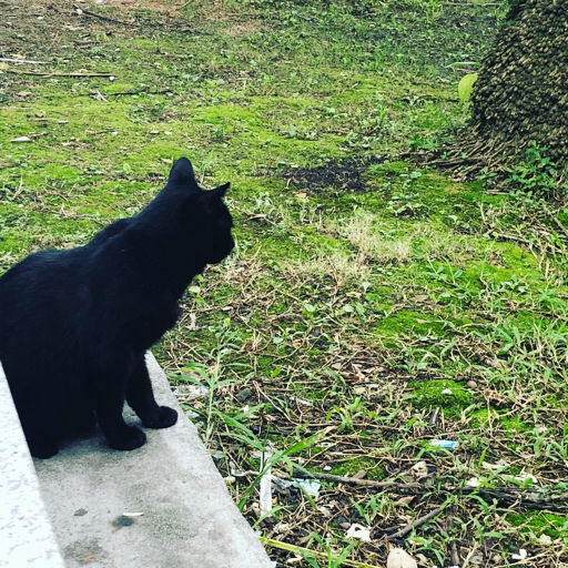 搜狗视频-更新更全免费影视剧观看平台