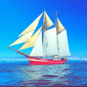 08Java文件与IO流_哔哩哔哩_bilibili