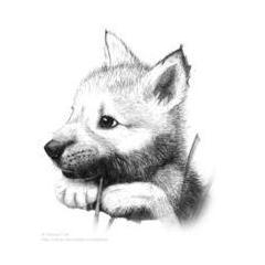 德语【A1~B2级别】全语法点精讲_哔哩哔哩_bilibili