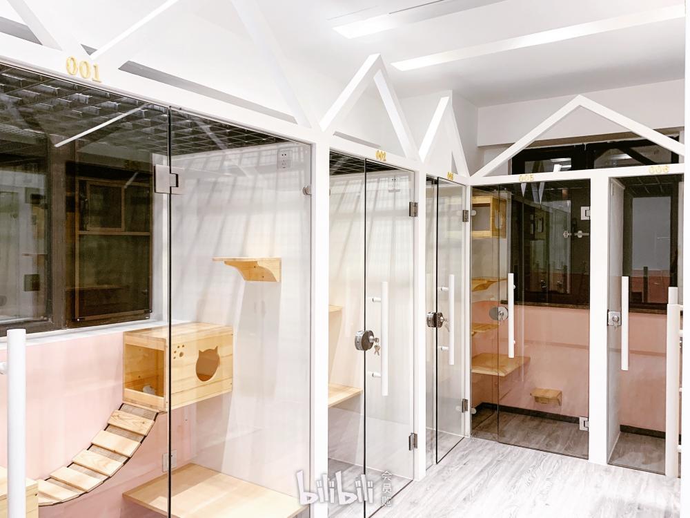 上海·七只喵Seven Cats Resort宠物酒店-bilibili会员购漫展票务